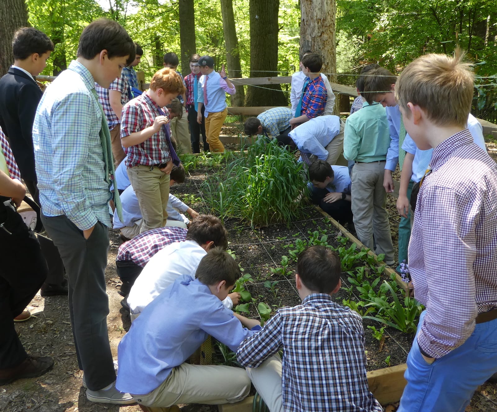 Teaching Craftsmanship: On Skills and Boys' Hands | The Heights Forum