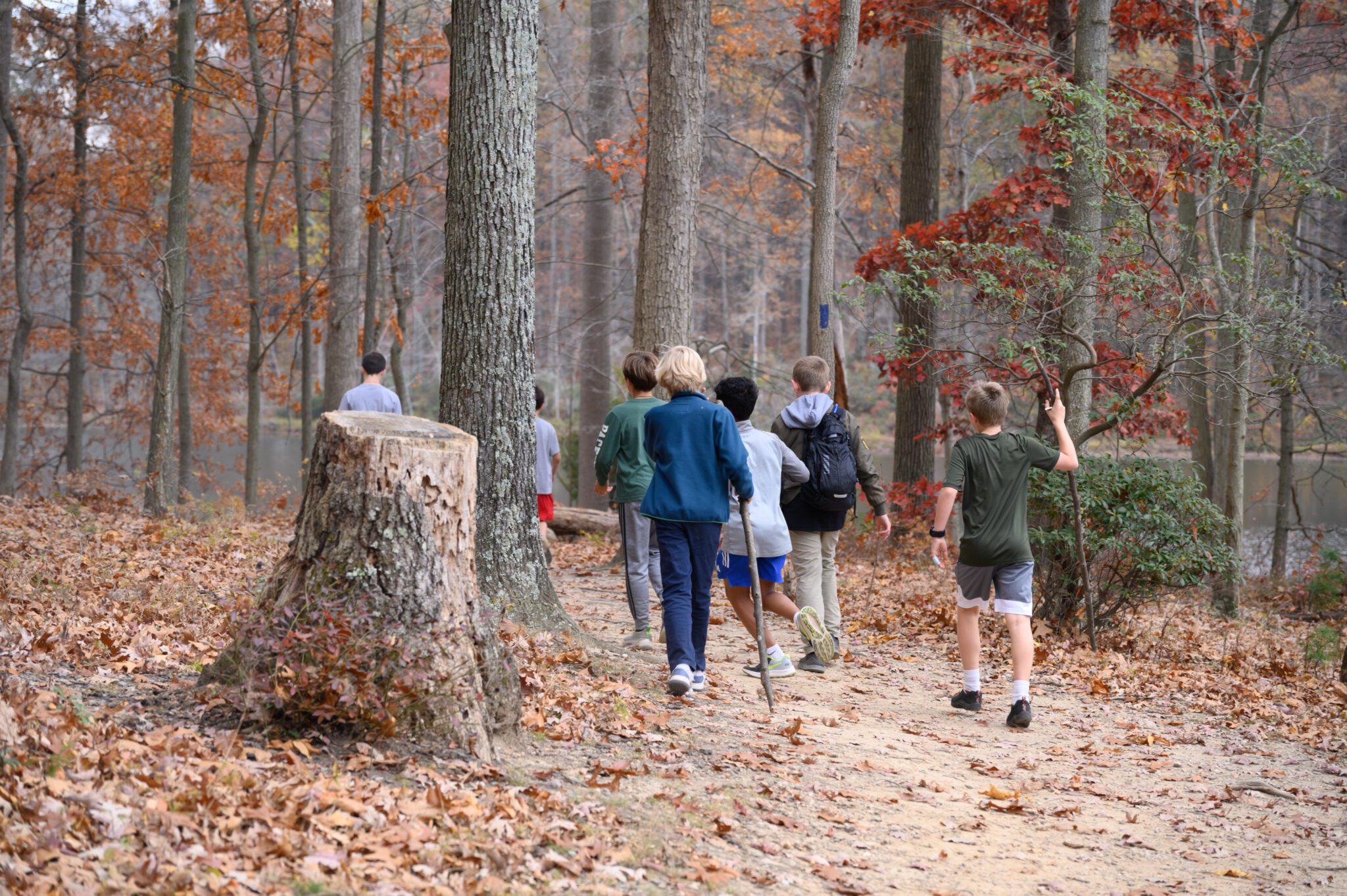 Camping and the Rite of Passage | The Heights Forum