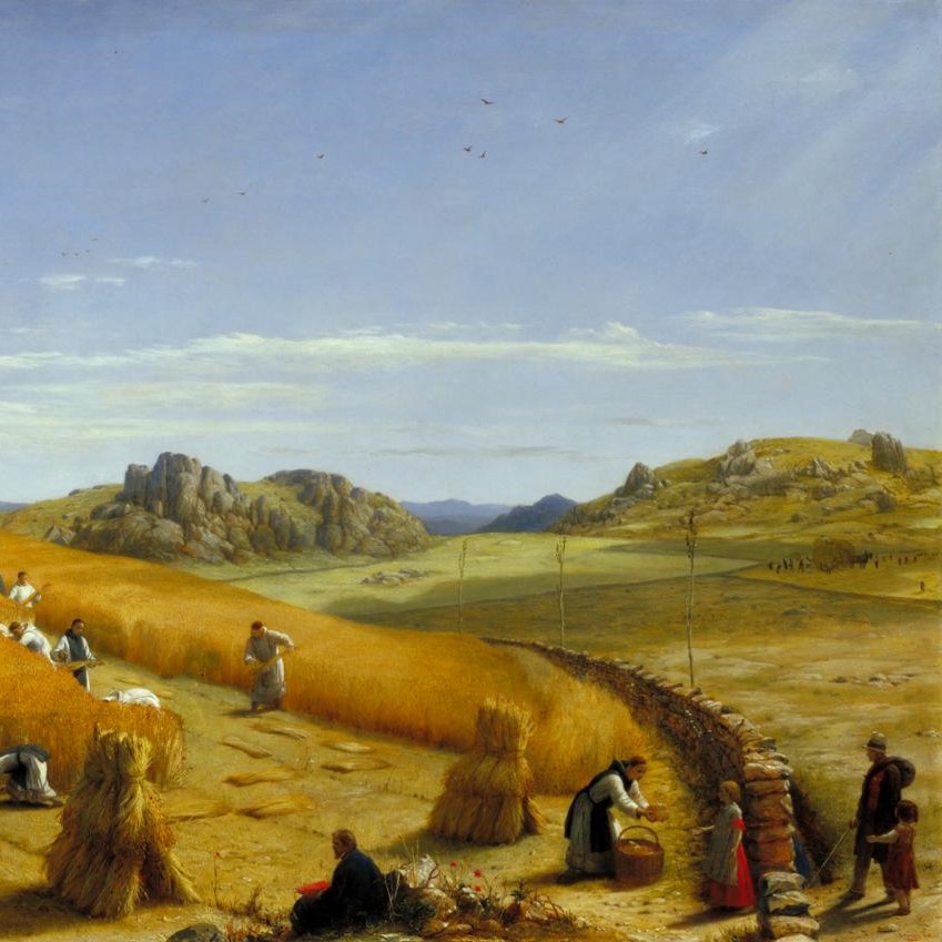 Made in the Image and Likeness: On Man and Masculinity | The Heights Forum